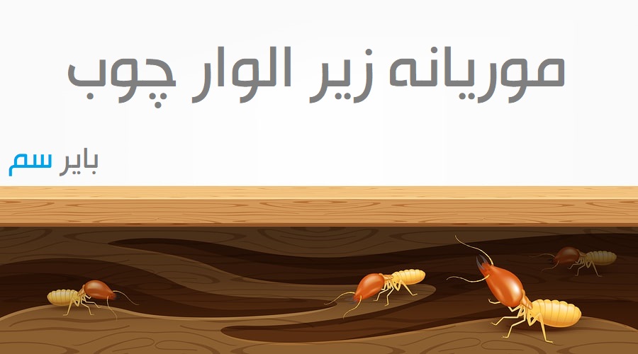 صداهای موریانه ها | تشخیص صدای موریانه | از بین بردن موریانه ها | بایر سم